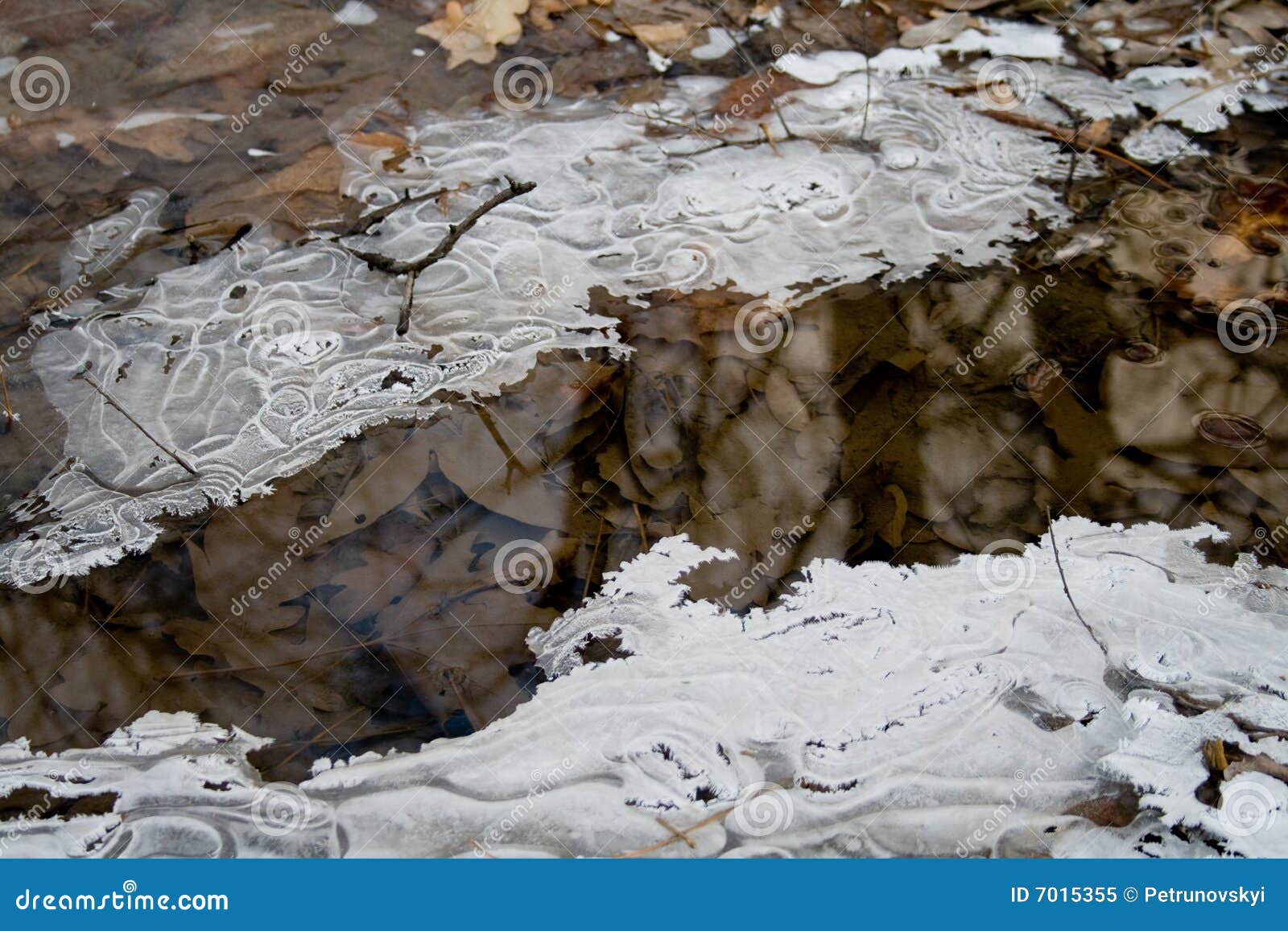 Freezing stream stock image. Image of leaf, brook, clean - 7015355