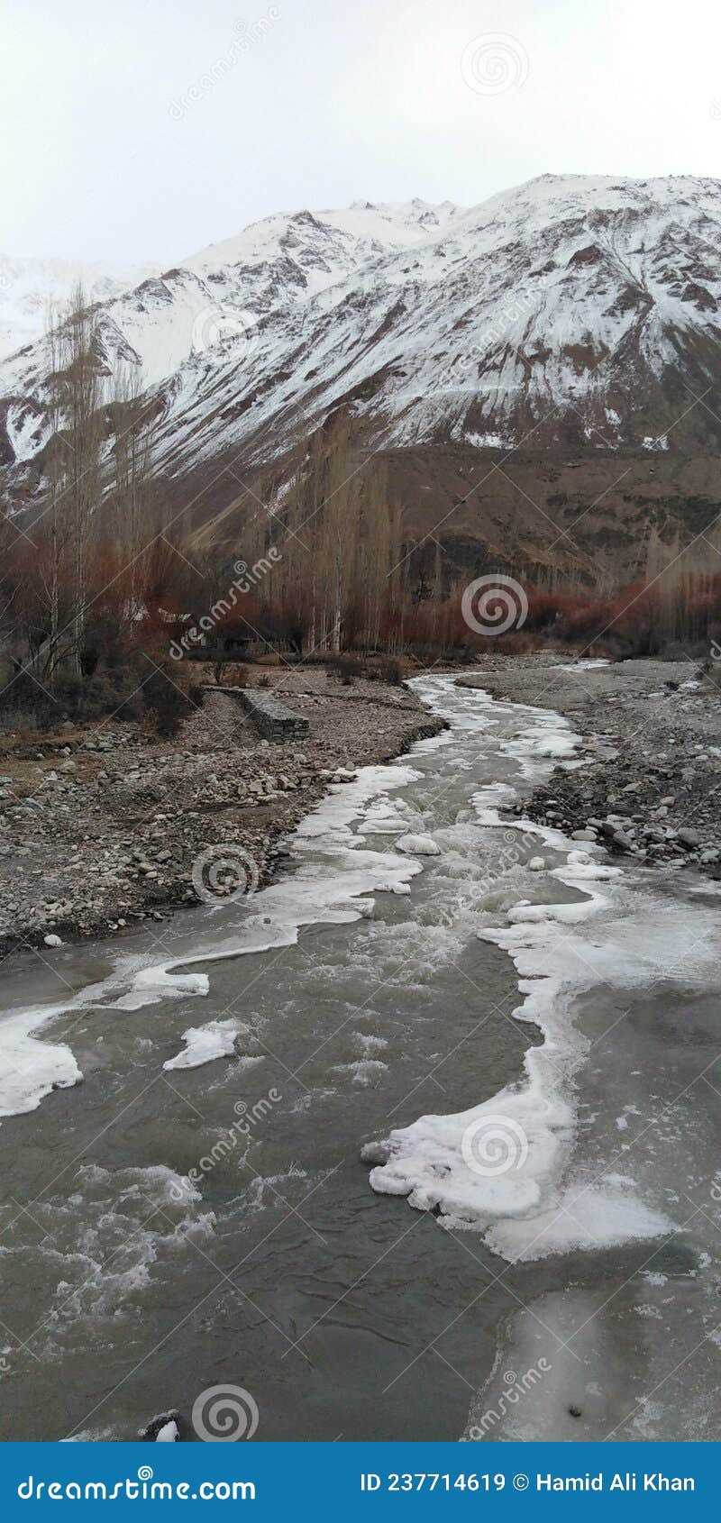 A Freezing Stream in Chilly Winters Stock Image - Image of tree ...