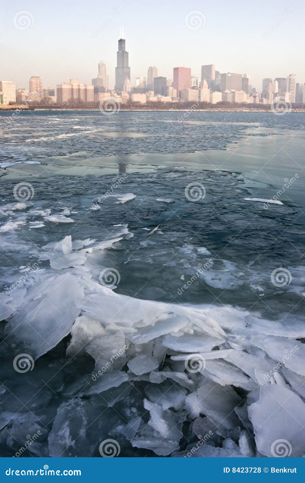 Freezy Morning In Chicago Picture. Image: 8423728