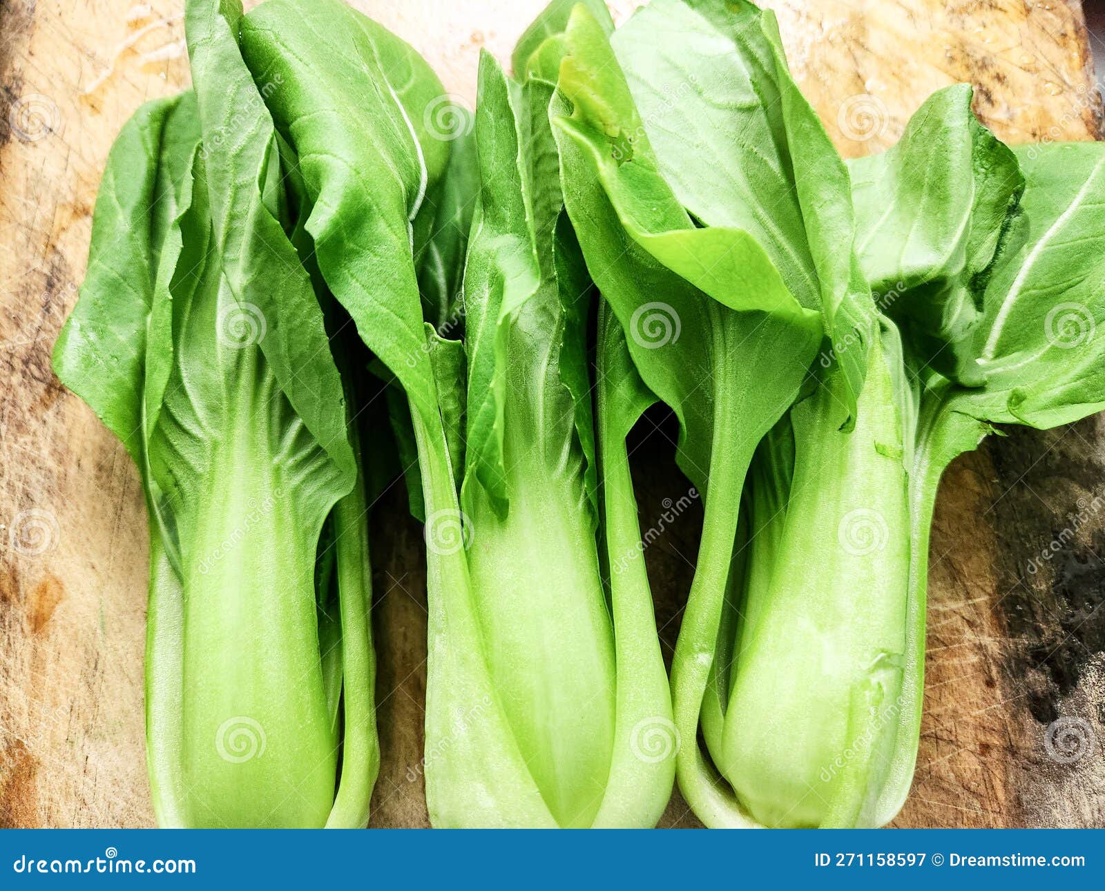 Freh bok choy vegetables stock image. Image of isolated - 271158597