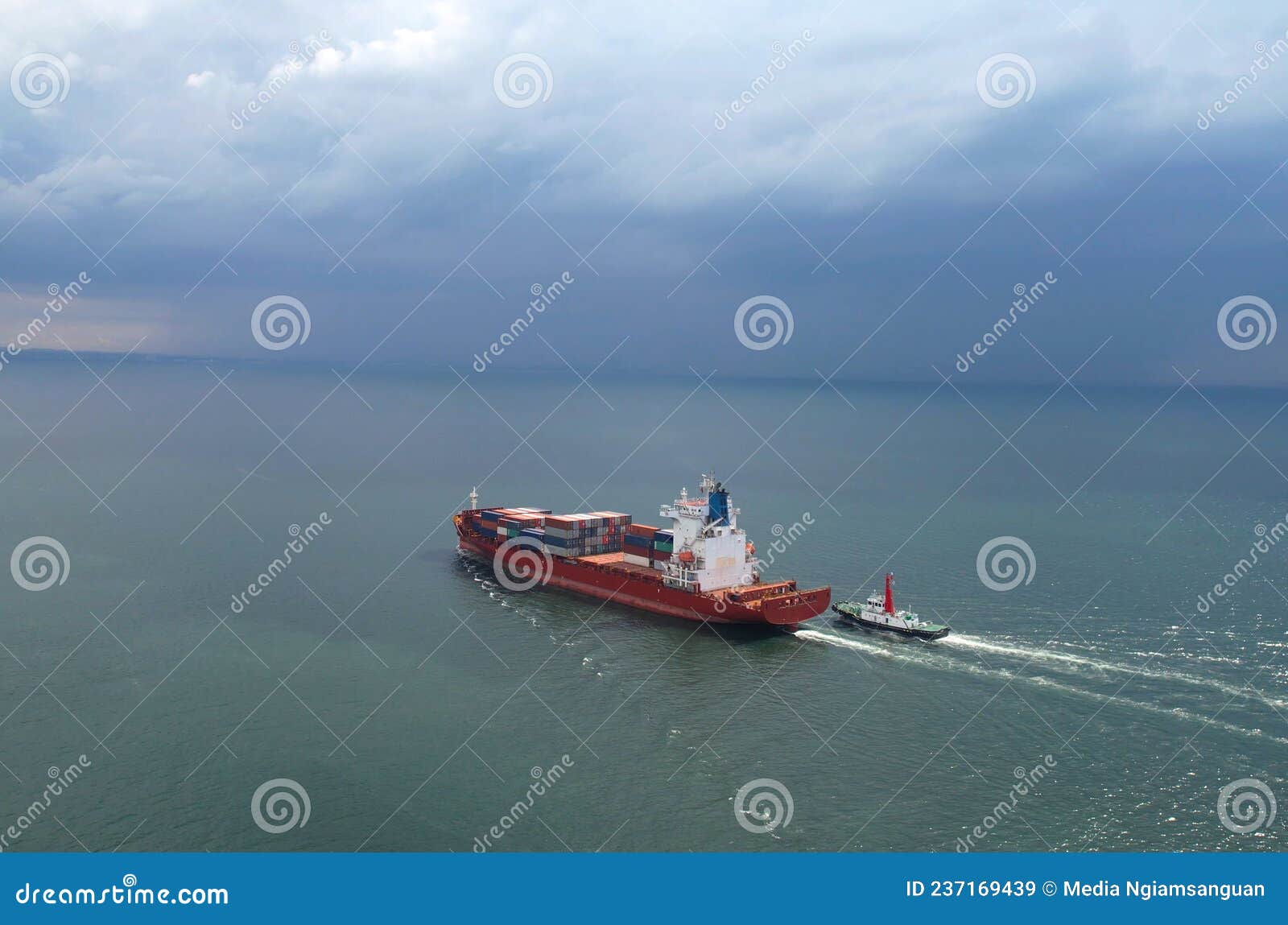 Freight Forwarding by Container Ships, Logistics Business, Import and ...