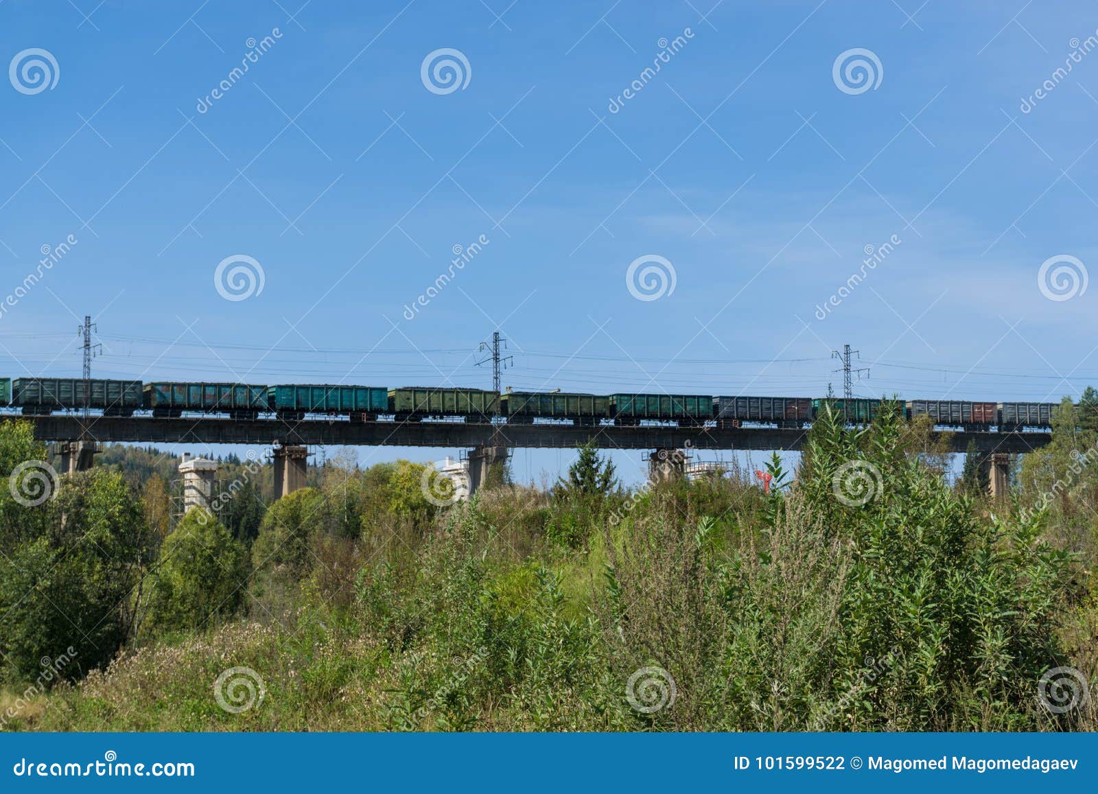 Freight train on bridge stock photo. Image of carriage - 101599522