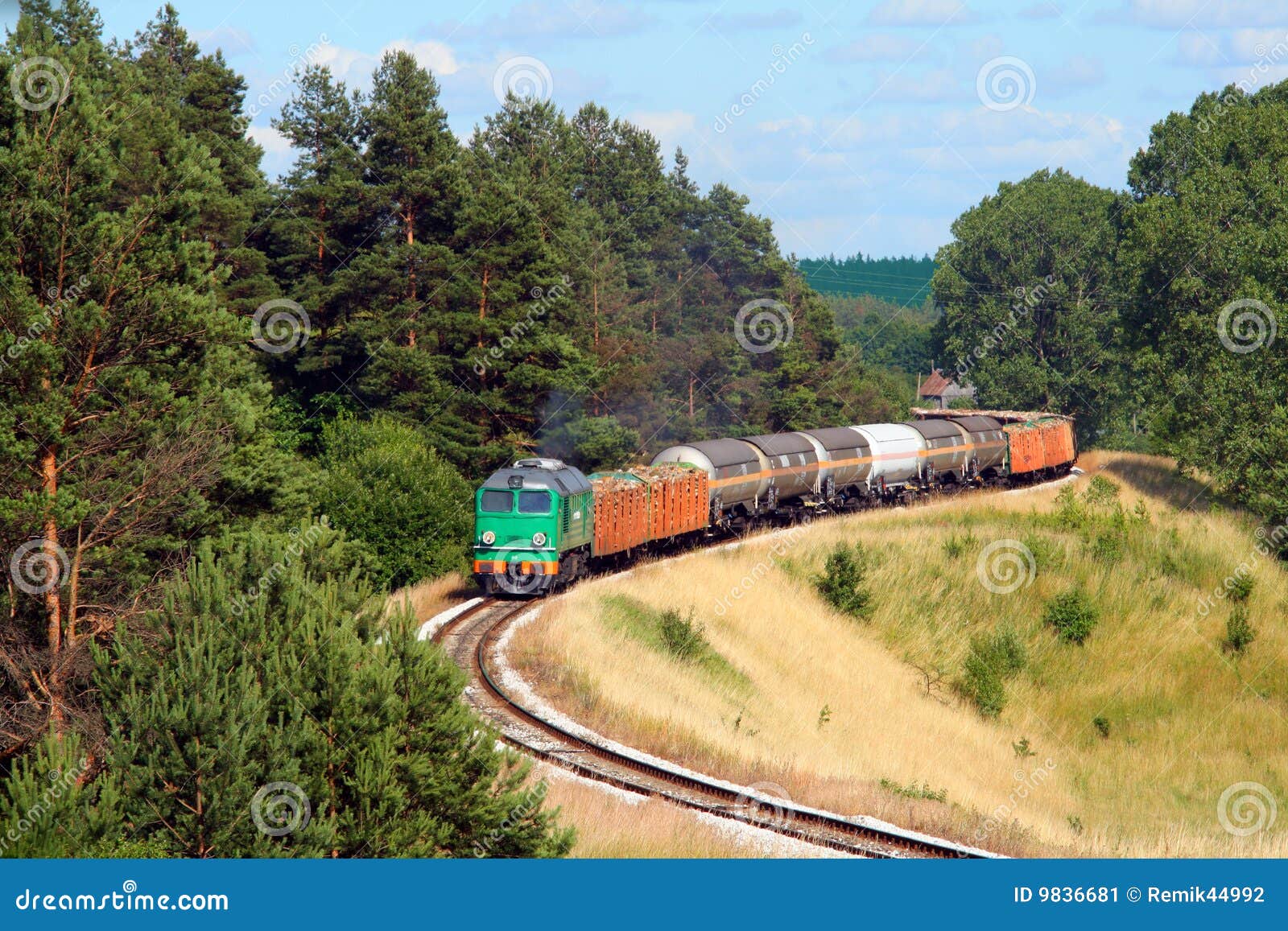 Freight Train Passing the Forest Stock Image - Image of environment ...