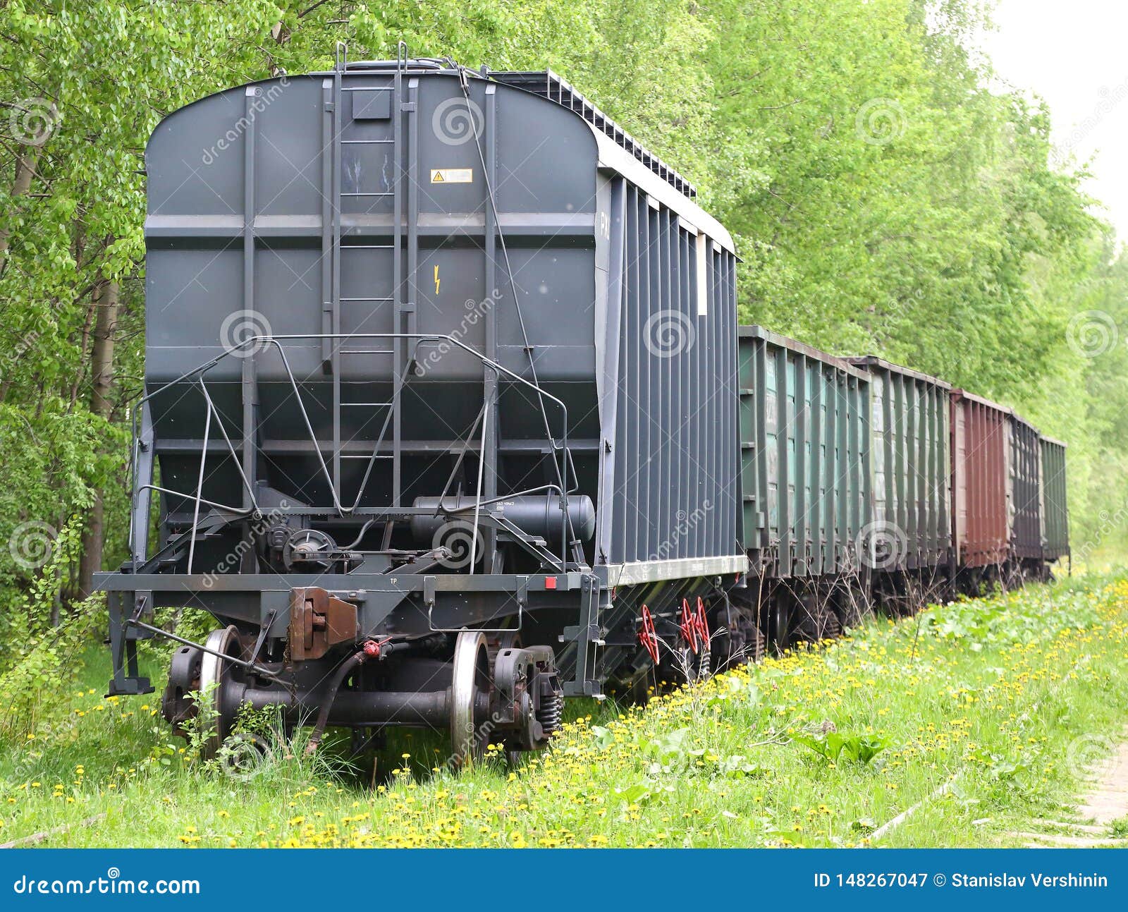 Freight Train on the Railway Track Overgrown with Grass Stock Image ...