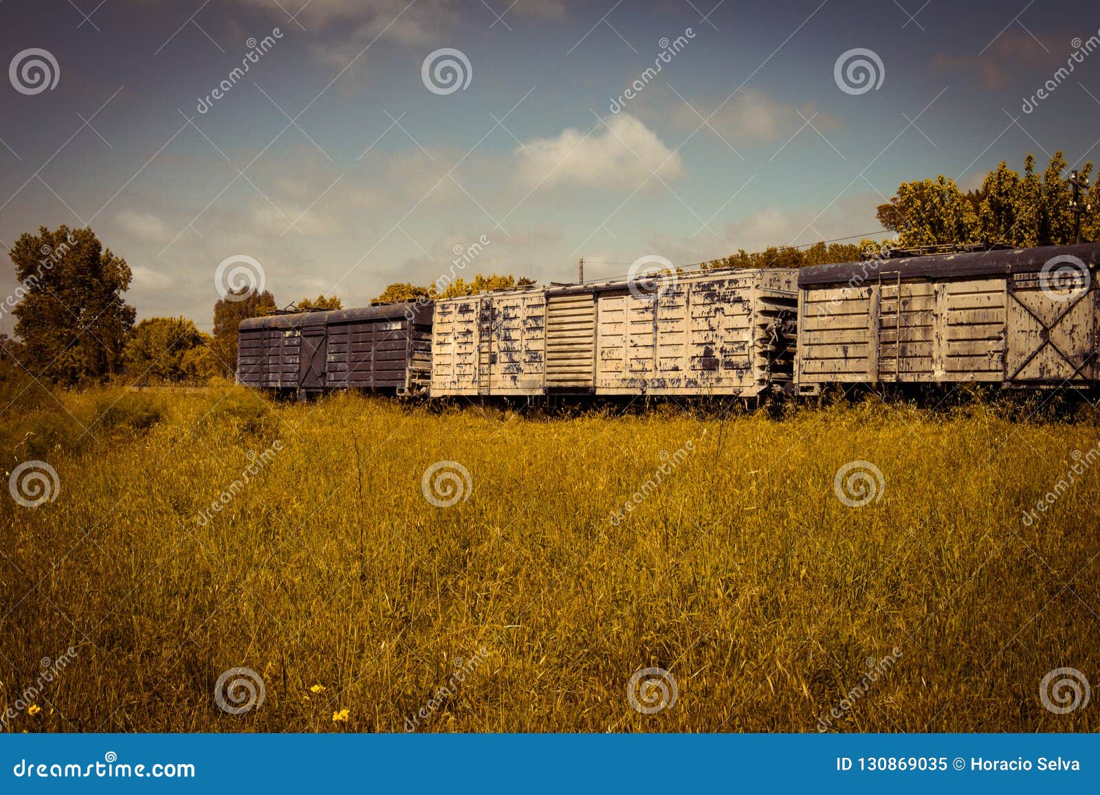 Freight Train Wagons Abandoned in the Field. Transportation of Goods ...