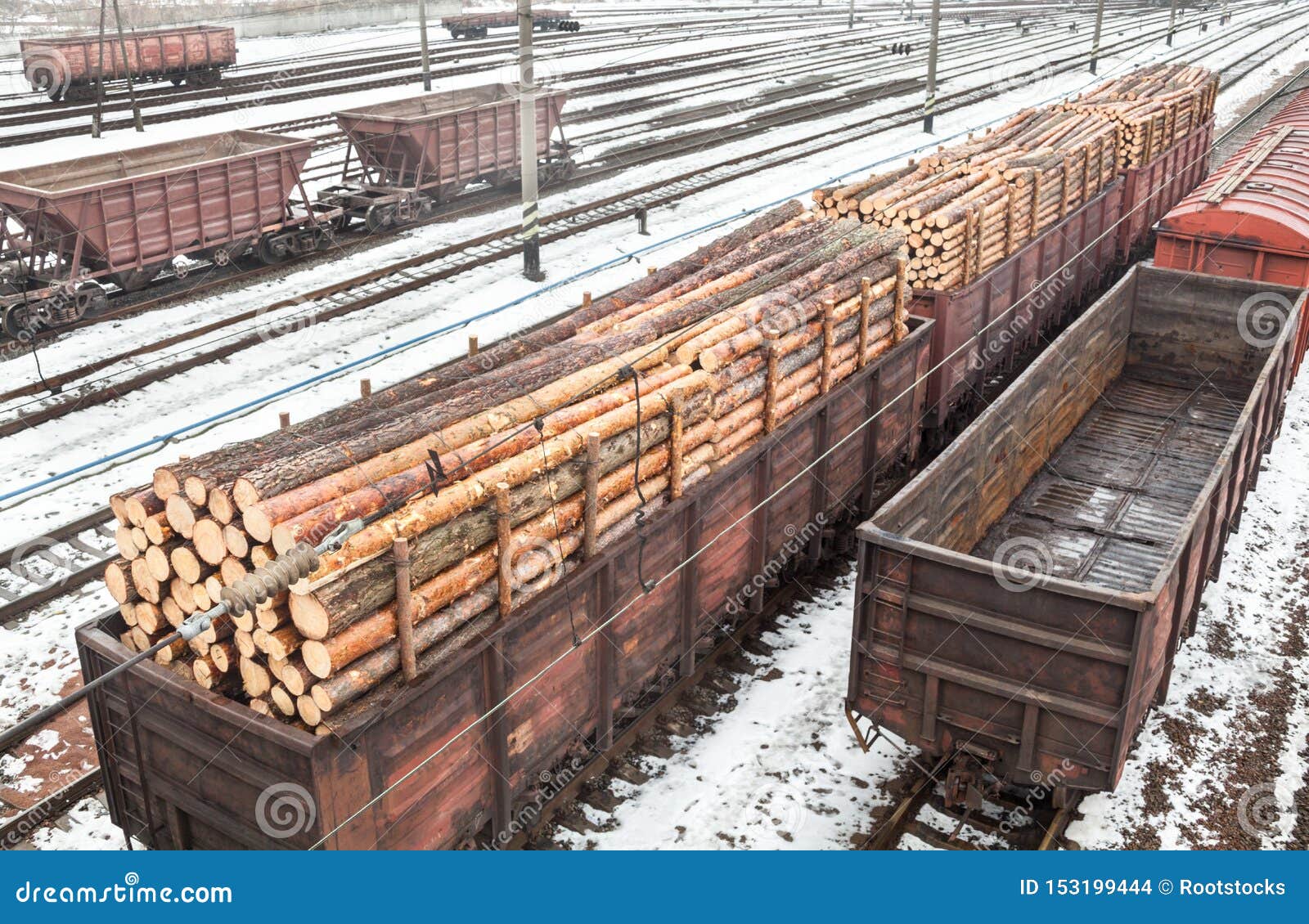 Freight Wagons with Logs and Empty Wagons Stock Photo - Image of cargo ...