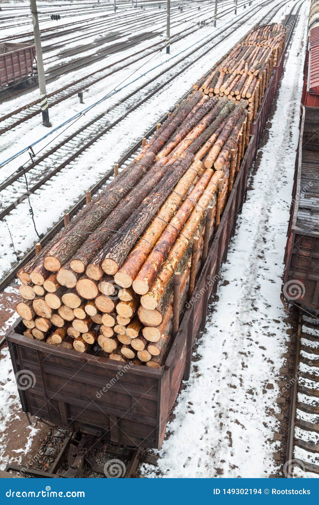 Freight wagons with logs stock photo. Image of rail - 149302194