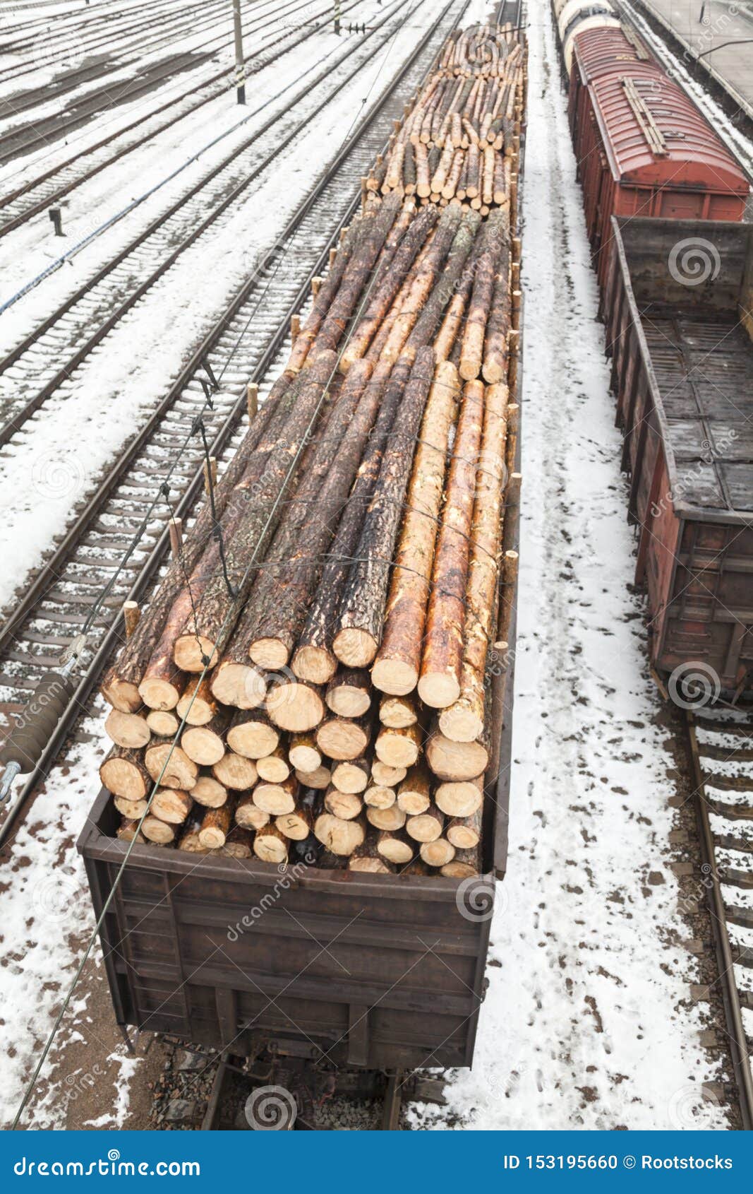 Freight wagons with logs stock photo. Image of cargo - 153195660