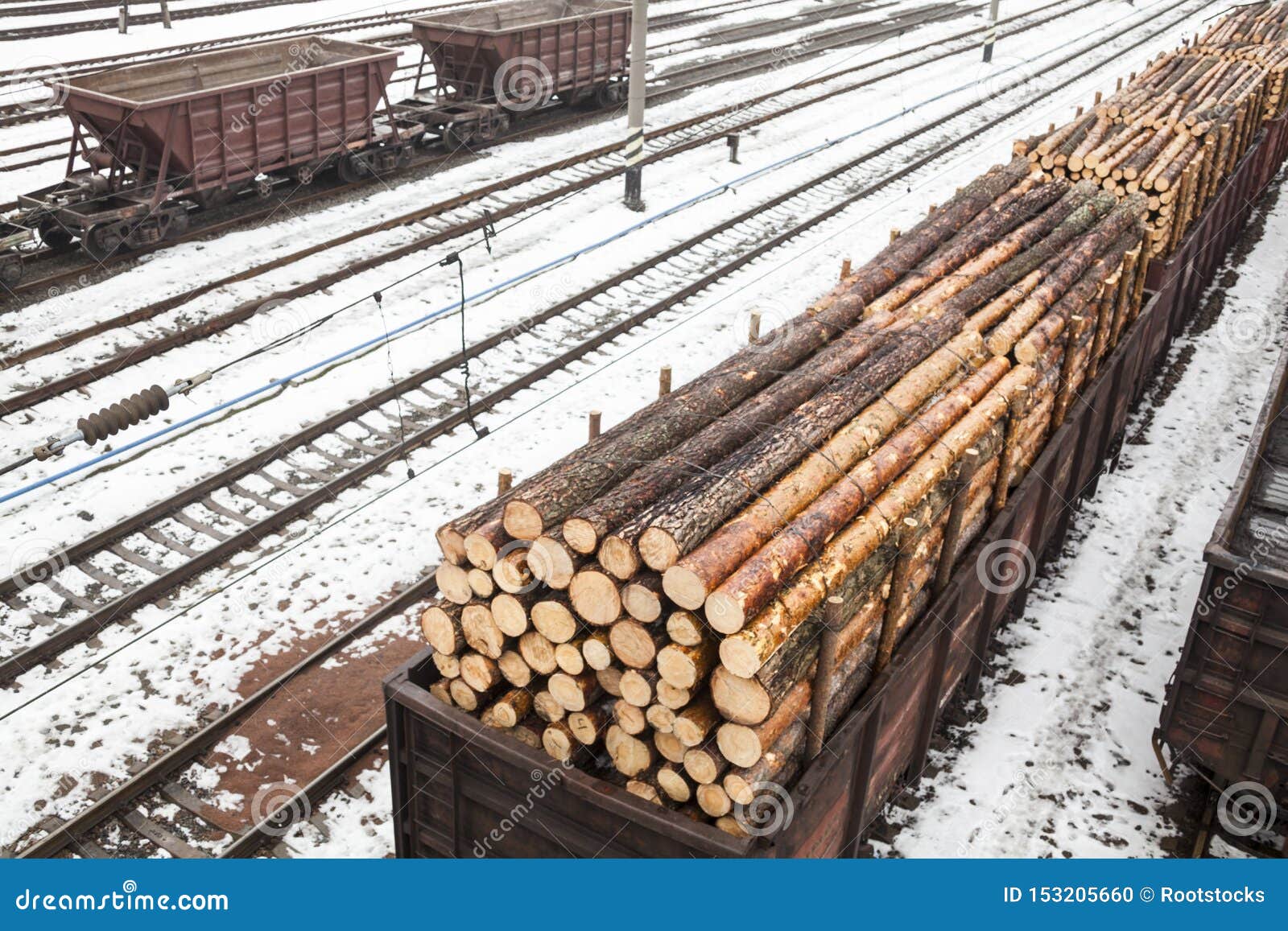 Freight wagons with logs stock photo. Image of stack - 153205660