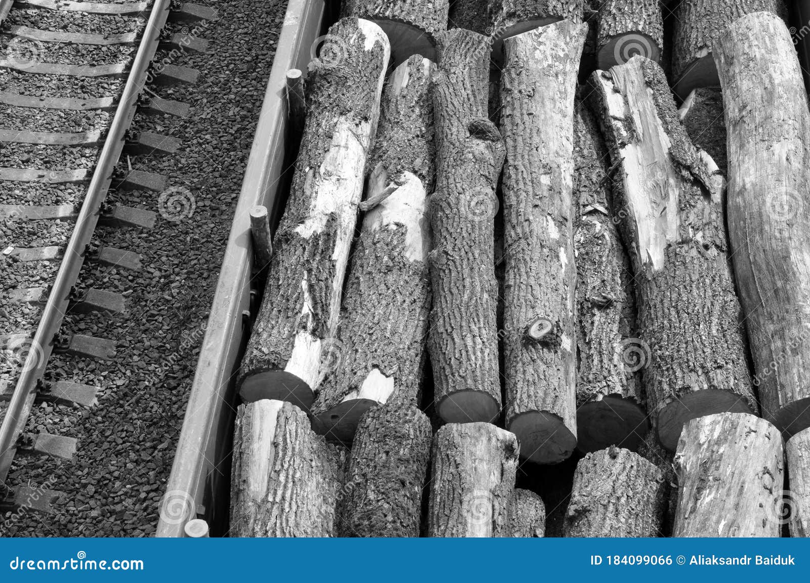 Freight Wagons with Stacks of Timber on the Railway. View from Above ...