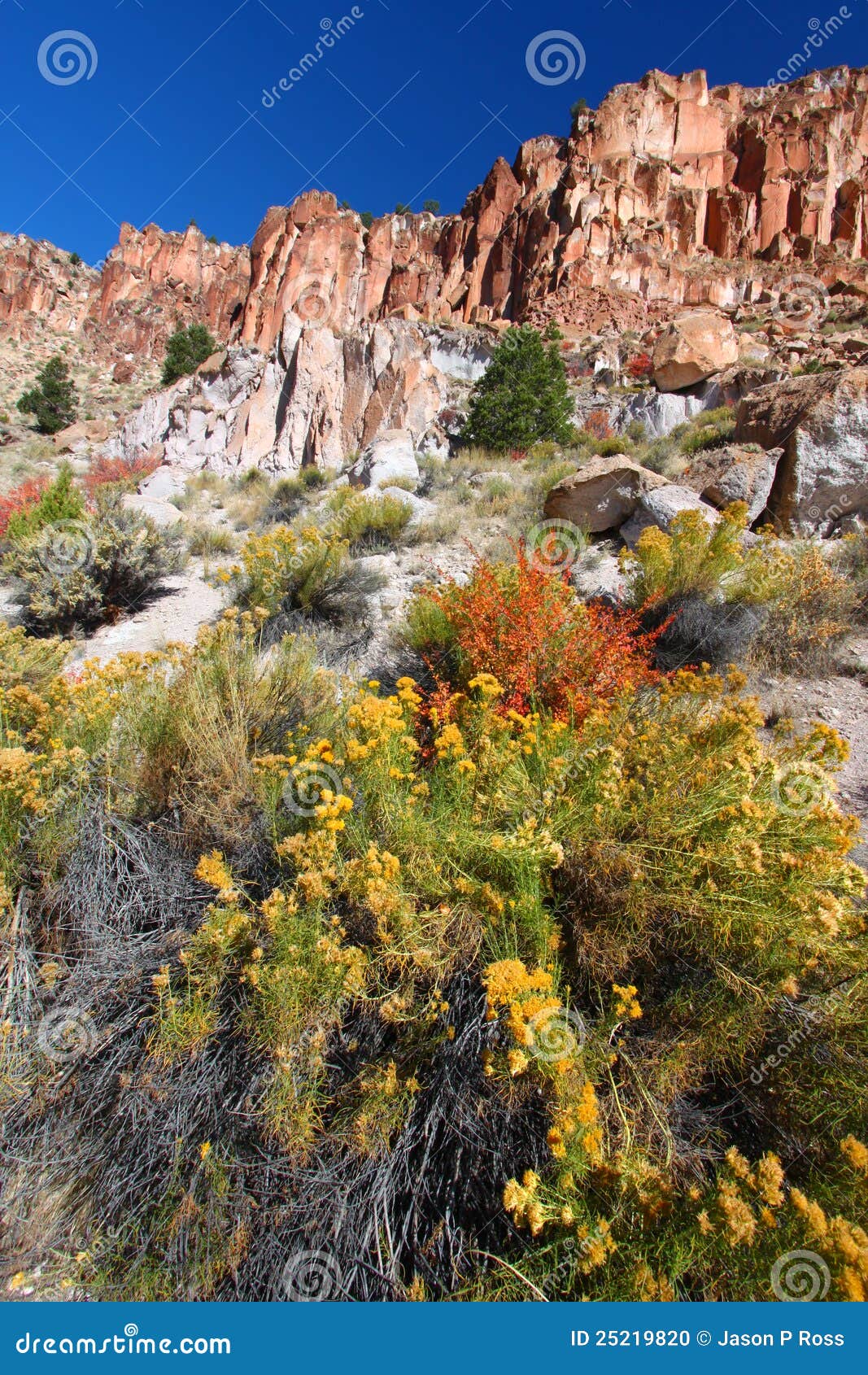 Fremont Indian State Park - Utah Stock Photo - Image of ecology ...