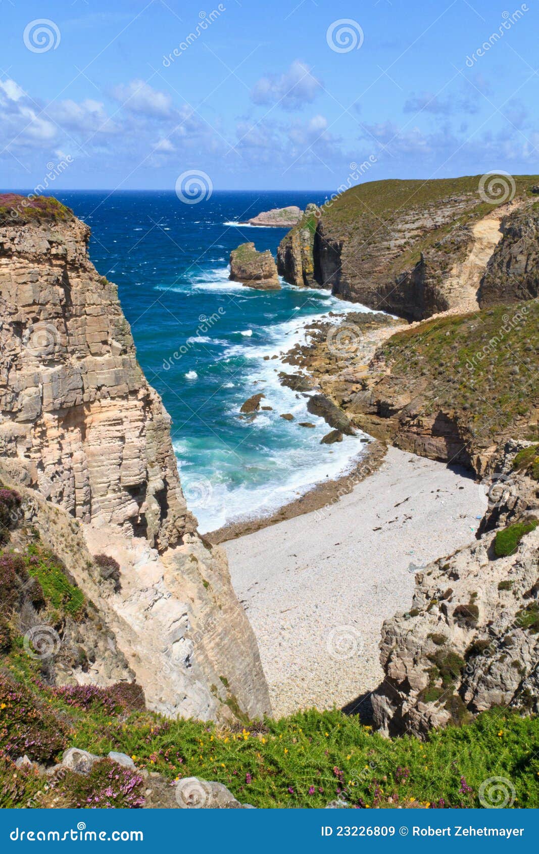 French Atlantic Coast Near Cap Frehel Stock Image - Image of flowers ...