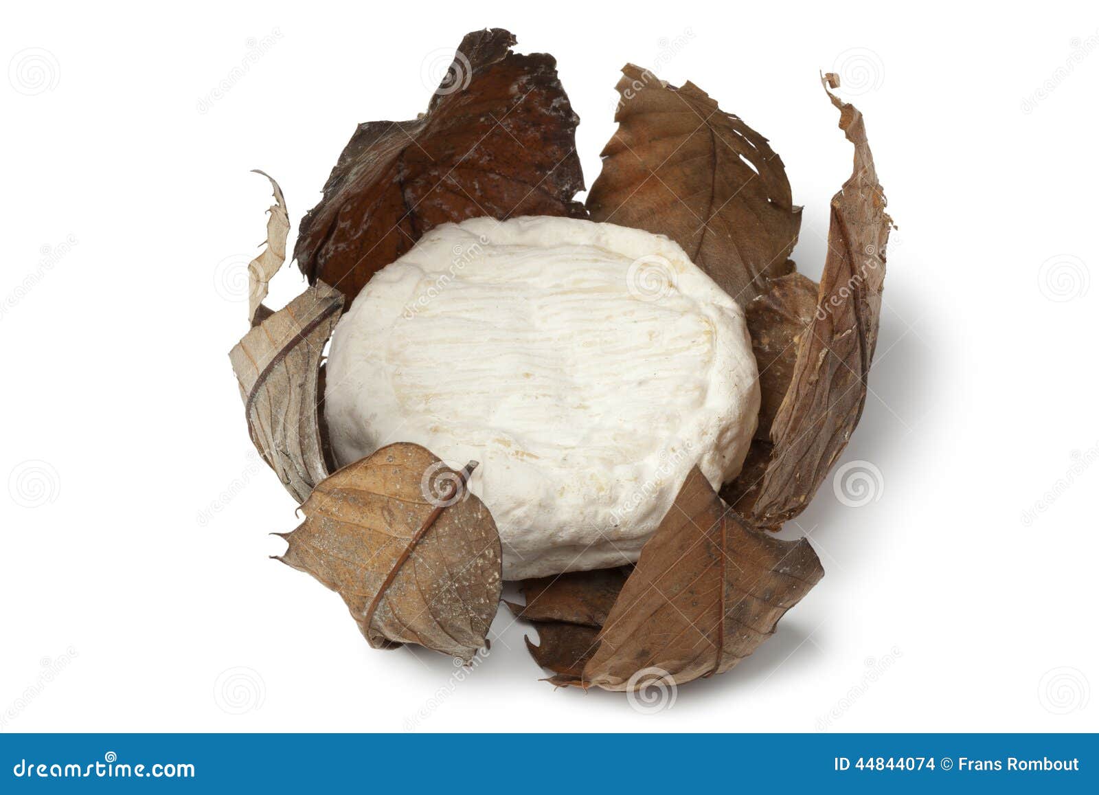 French Banon Cheese In Chestnut Leaves Stock Photo | CartoonDealer.com ...
