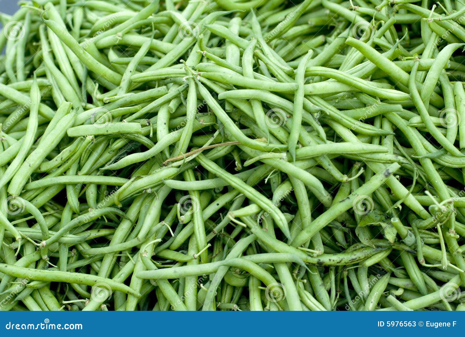 French beans stock image. Image of organic, meal, french - 5976563
