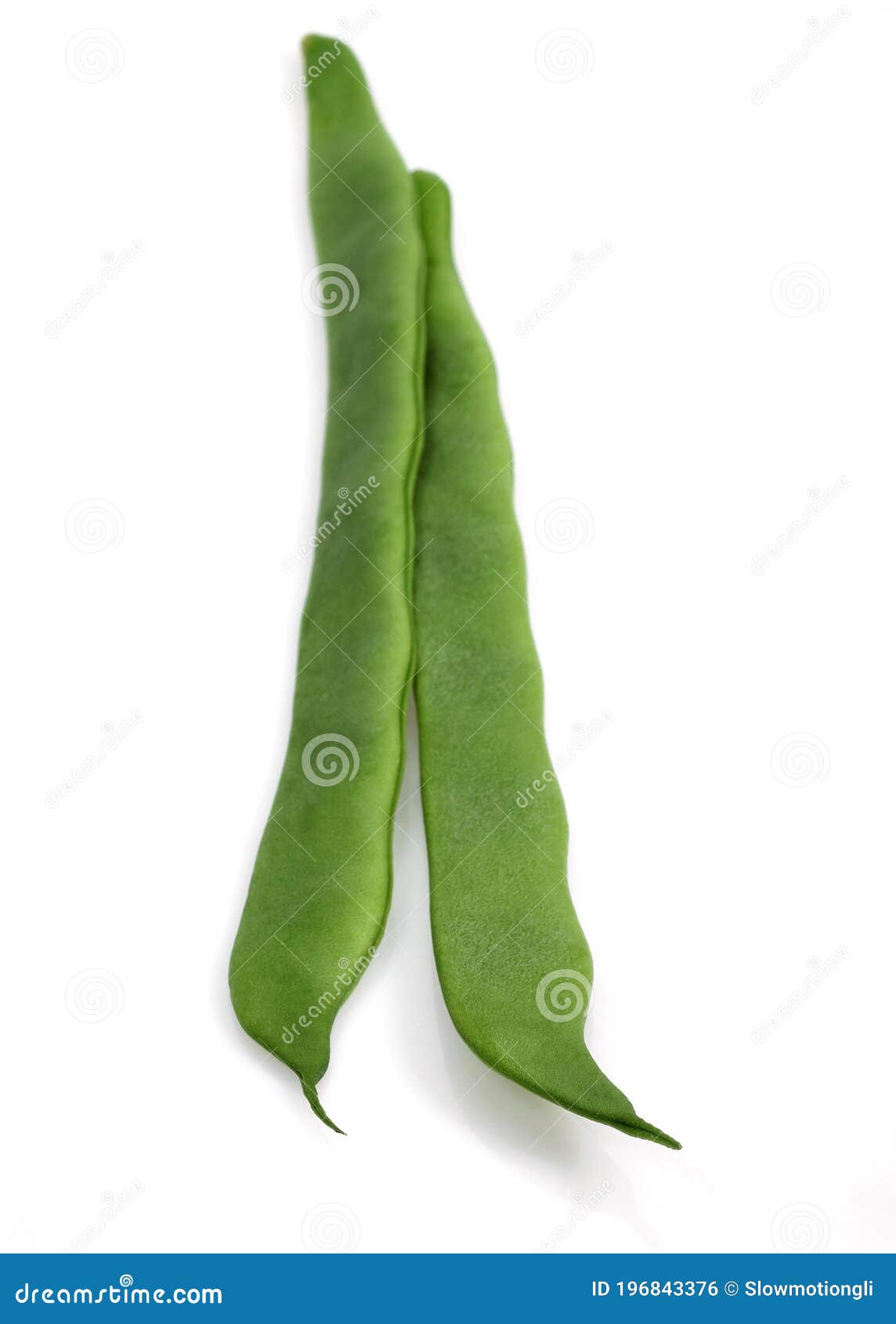 French Beans Called Coco Plat, Phaseolus Vulgaris, Beans Against White ...