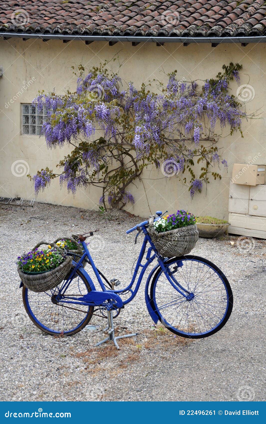 The french bike stock image. Image of colour, color, cyclist - 22496261