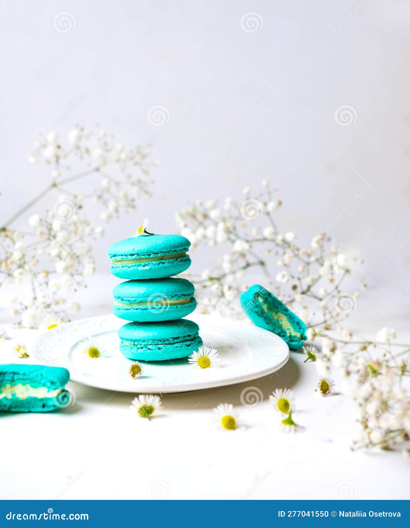 French Blue Macarons on Light Background with Flowers. Close-up Stock ...