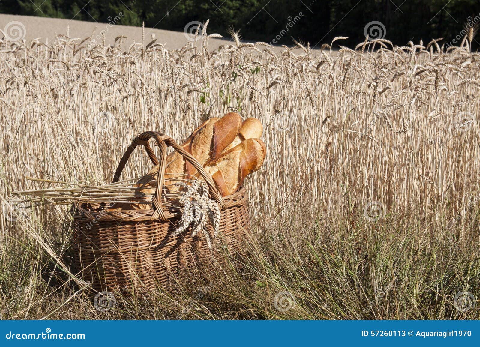 French bread stock image. Image of healthy, freshness - 57260113