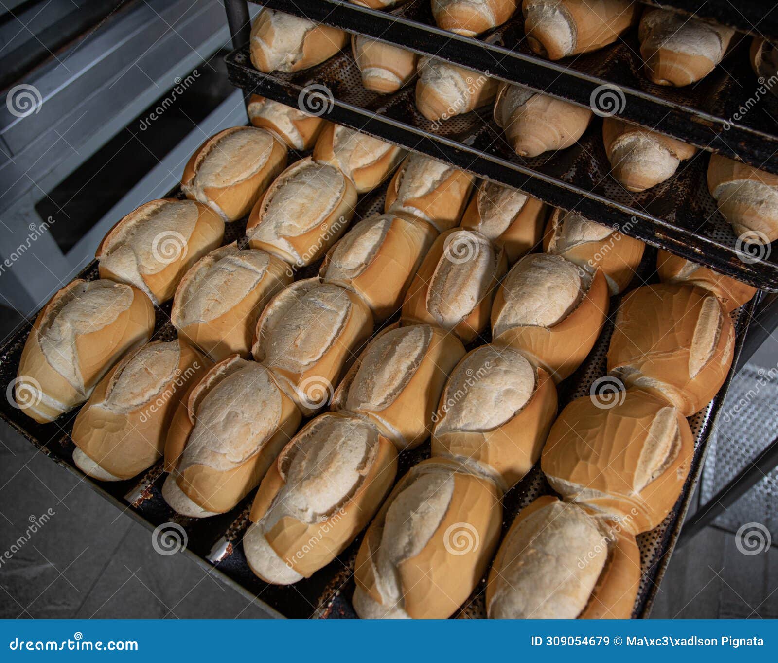 French Bread in Production Inside the Bakery Stock Image - Image of ...