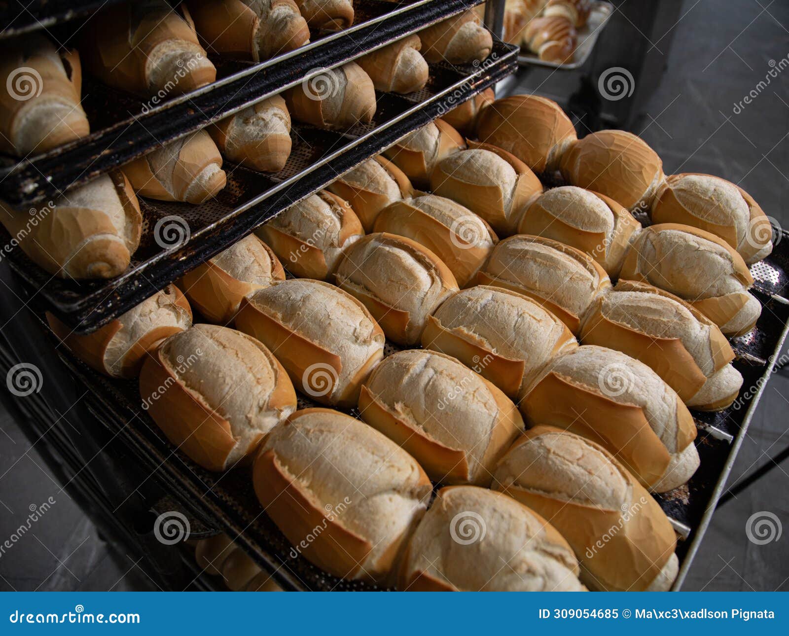 French Bread in Production Inside the Bakery Stock Image - Image of ...