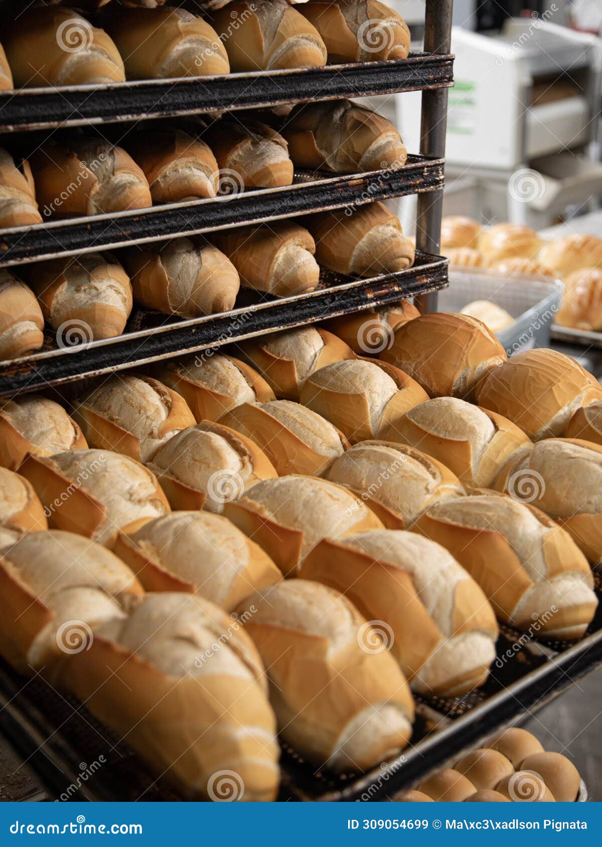 French Bread in Production Inside the Bakery Stock Image - Image of ...