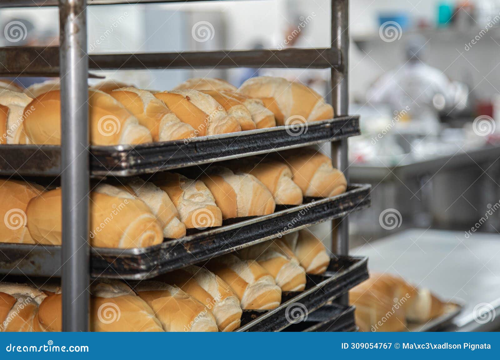 French Bread in Production Inside the Bakery Stock Image - Image of ...