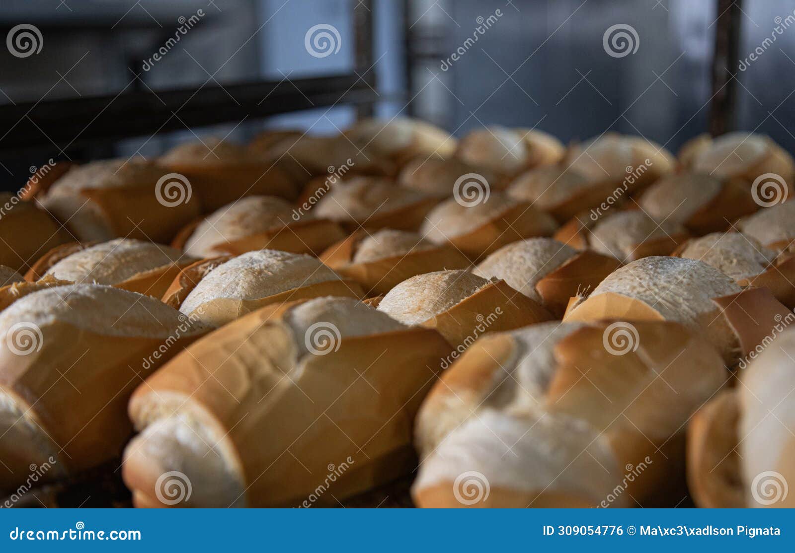 French Bread in Production Inside the Bakery Stock Photo - Image of ...
