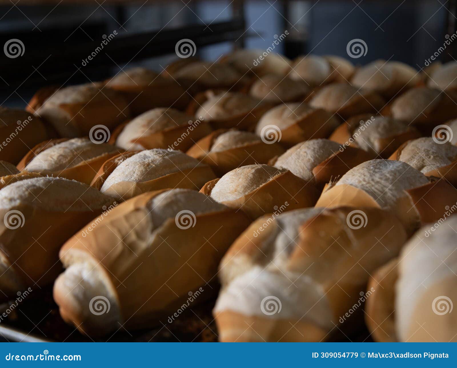 French Bread in Production Inside the Bakery Stock Image - Image of ...