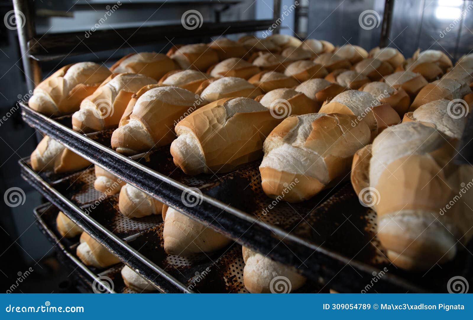 French Bread in Production Inside the Bakery Stock Image - Image of ...