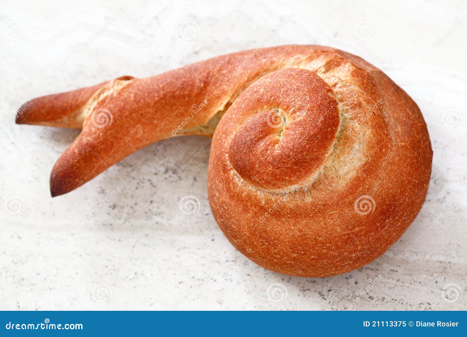 French Bread in Shape of Snail Stock Image - Image of shaped, french ...