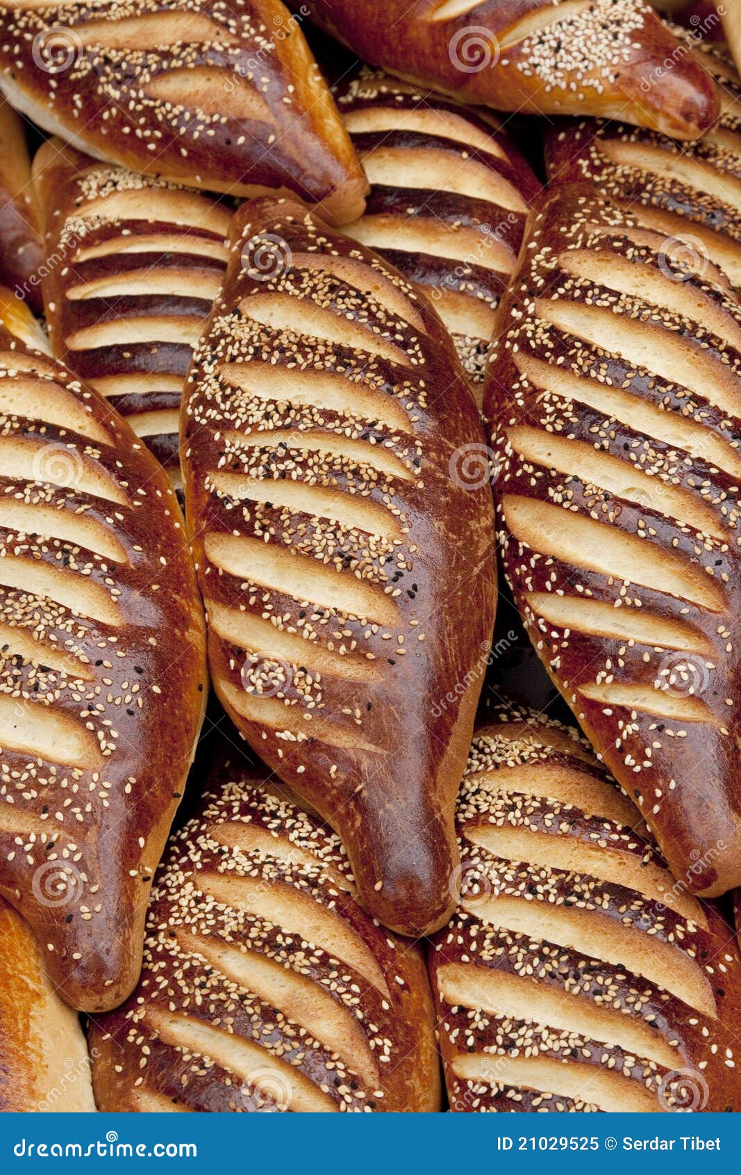 French breads stock image. Image of flour, freshness - 21029525