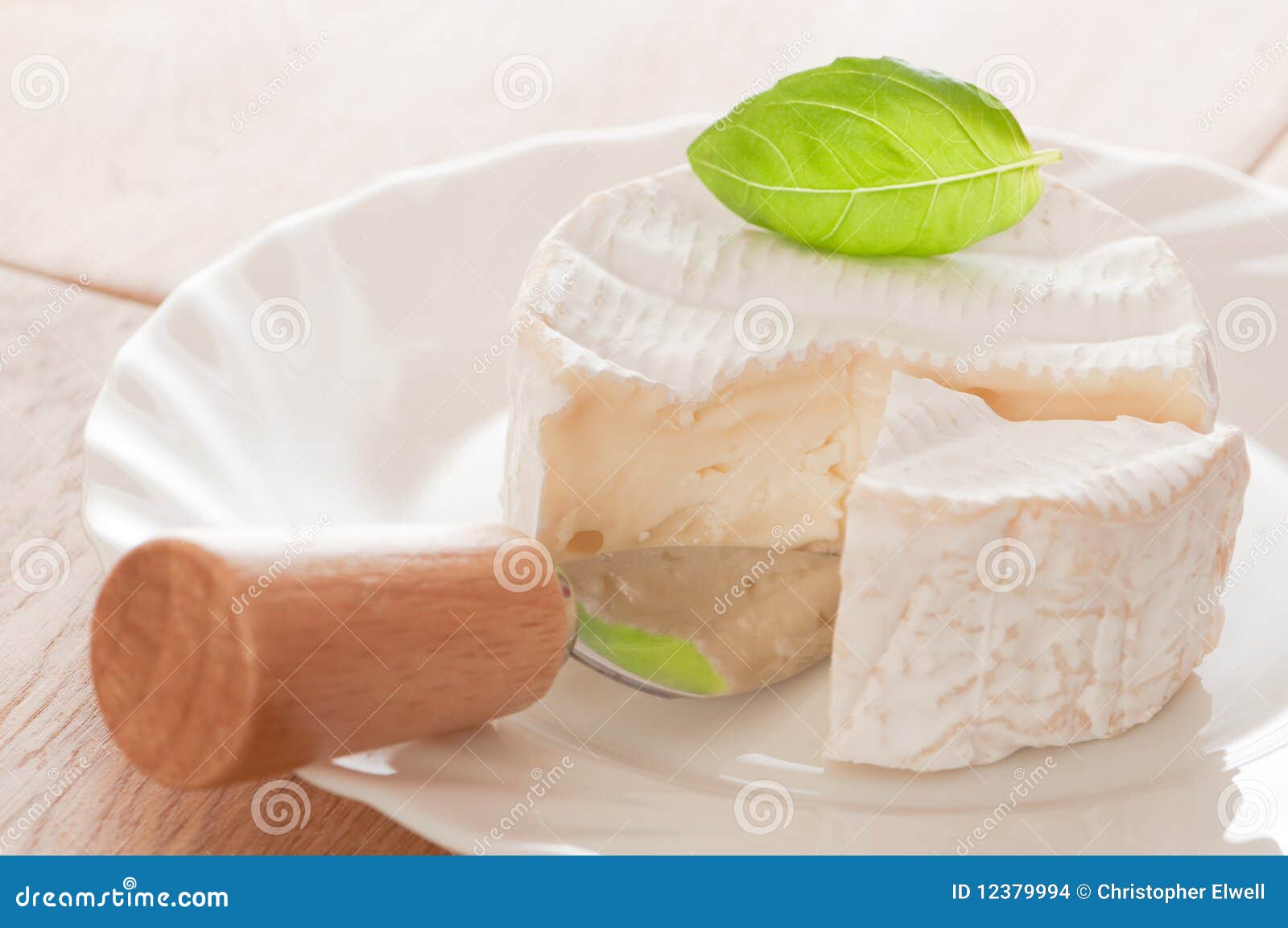 French Brie Cheese stock photo. Image of table, china - 12379994