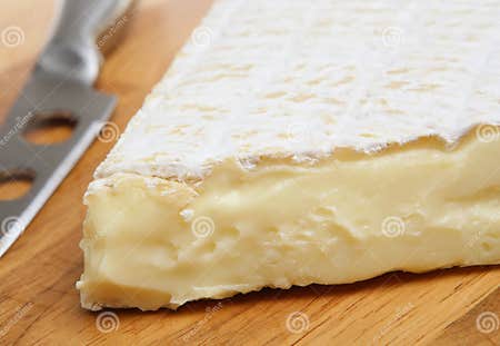 French Brie Cheese stock photo. Image of ripe, macro - 18161374