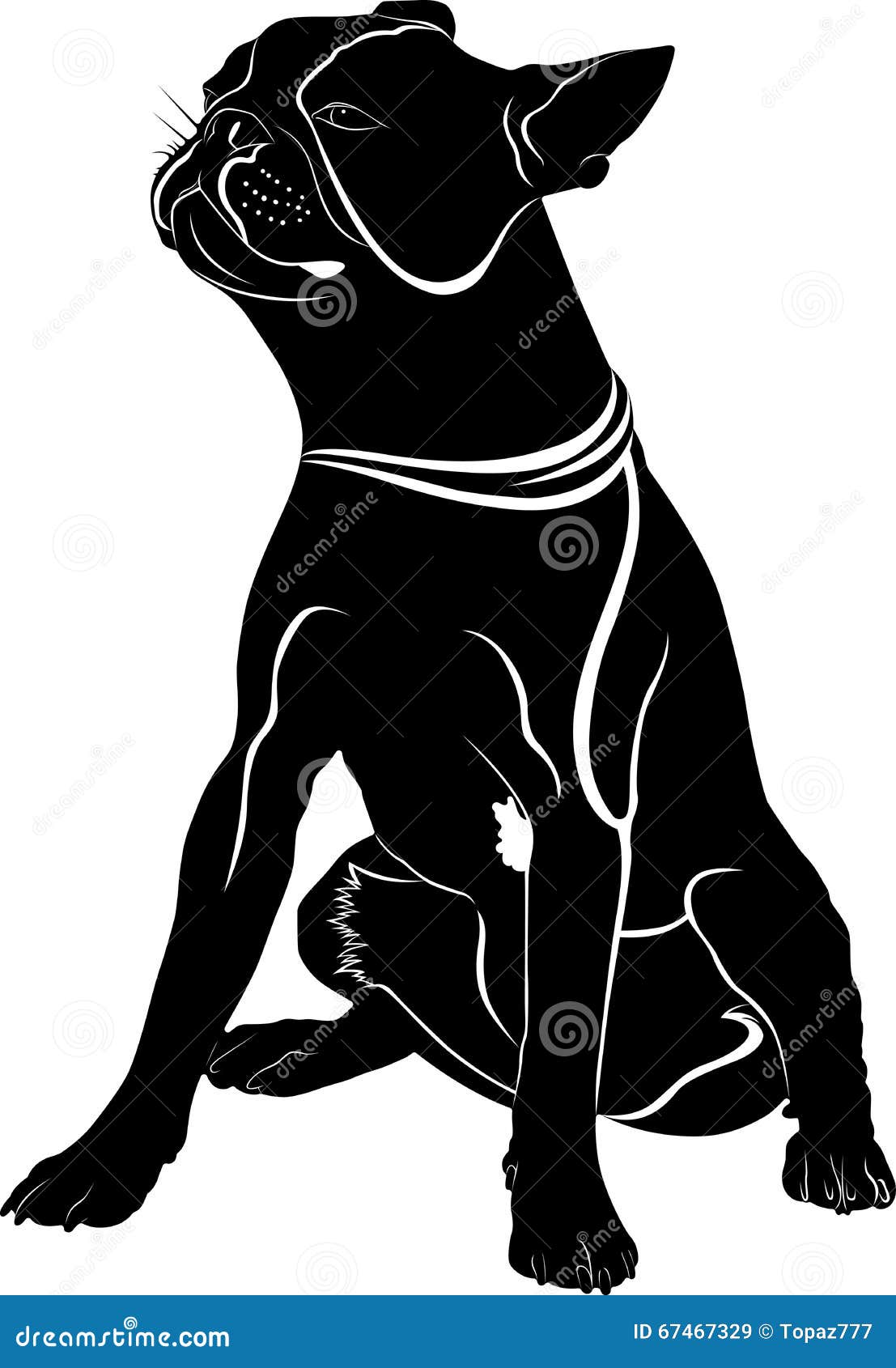 French Bulldog stock vector. Illustration of powerful - 67467329