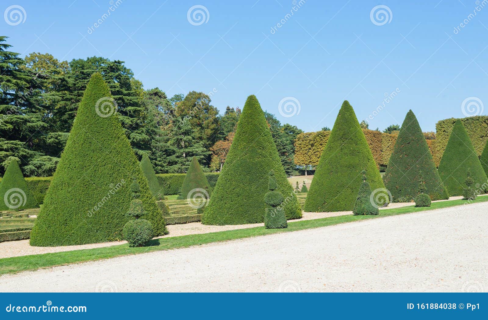 French Chateau Garden Topiary Cut Tree Design Stock Photo - Image of ...