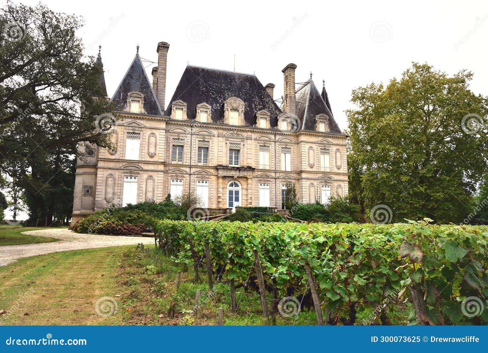 French Chateau And Vines Editorial Image | CartoonDealer.com #76834374