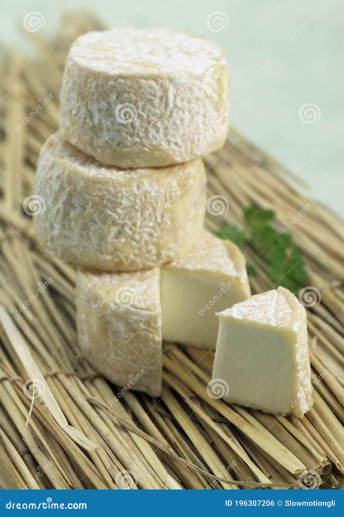French Cheese Called Crottin, Cheese Made with Goat Milk Stock Photo ...
