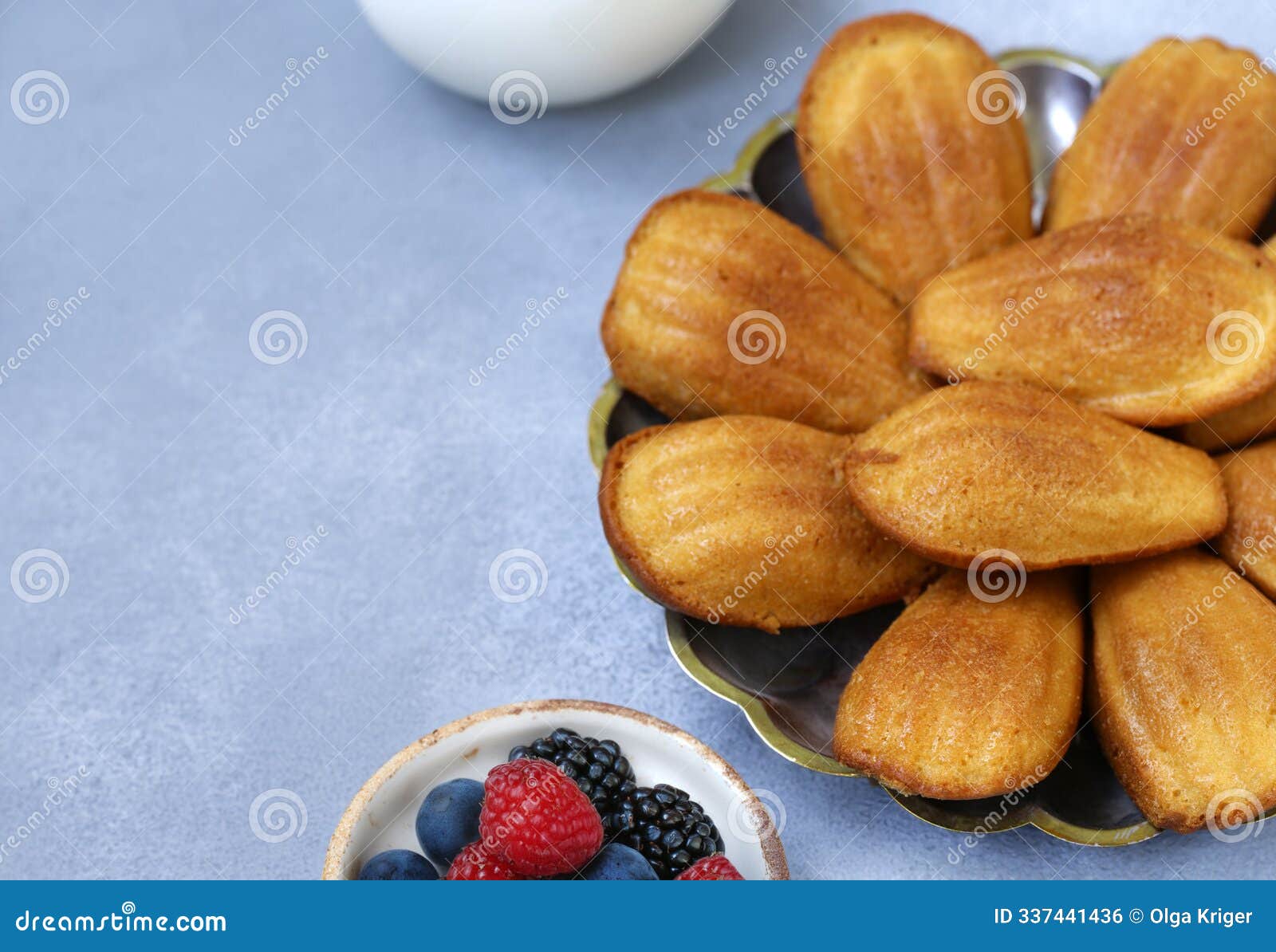 French cookies Madeleine stock photo. Image of snack - 337441436