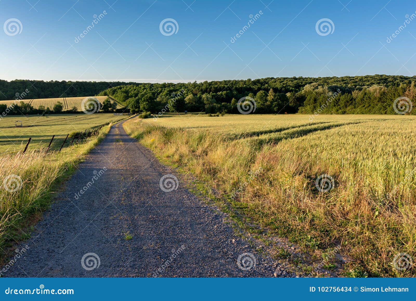 French Countryside - Lorraine Stock Photo - Image of farmland, grass ...