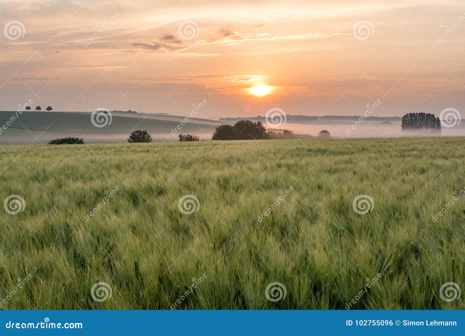 French Countryside - Lorraine Stock Photo - Image of bright, landscape ...