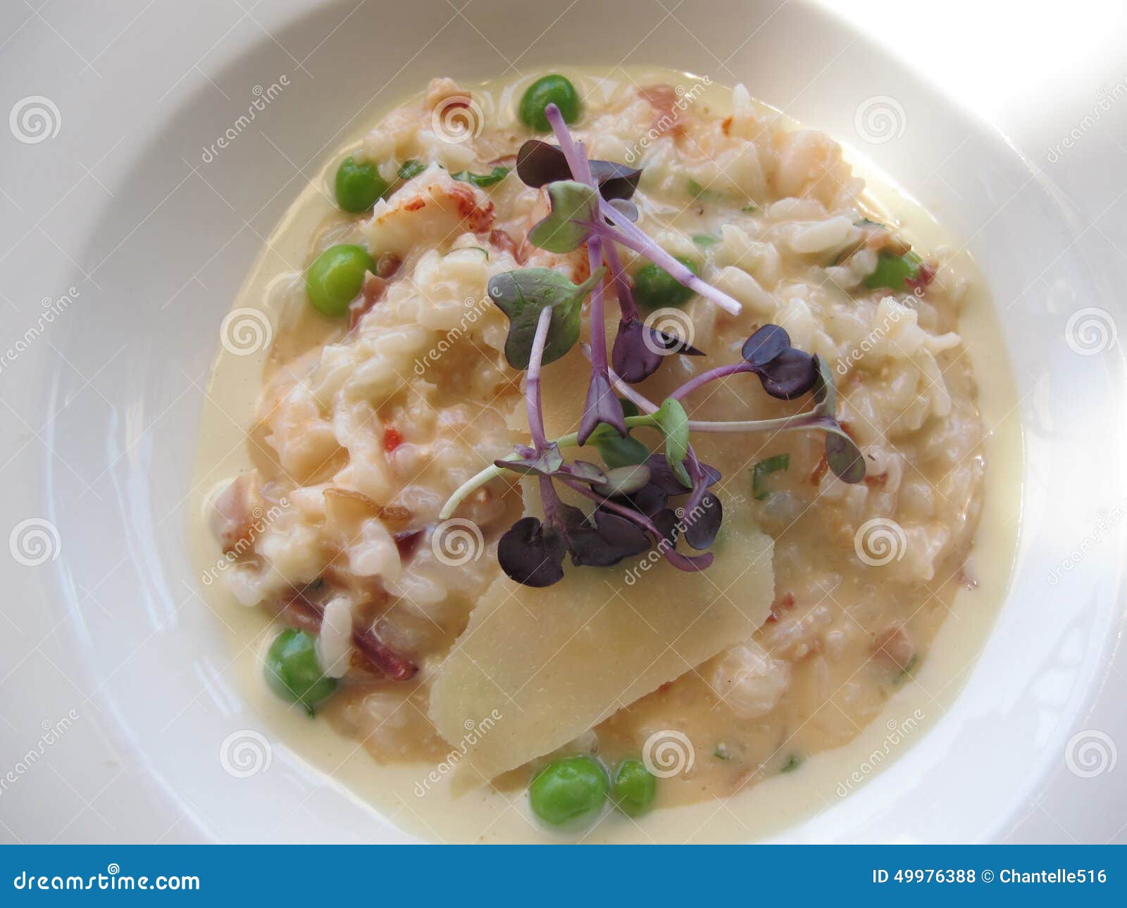 French cuisine stock photo. Image of restaurant, butter - 49976388