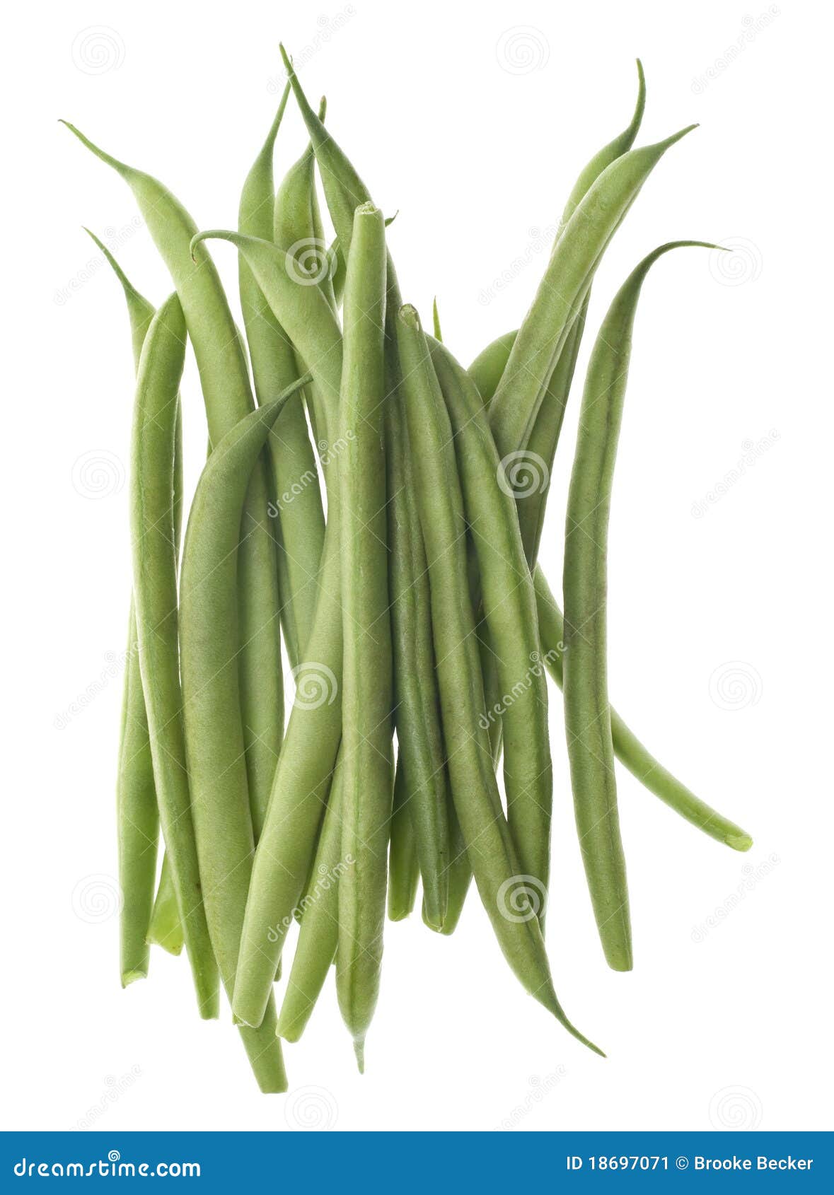 French Cut Green String Beans Stock Image - Image of green, isolated ...