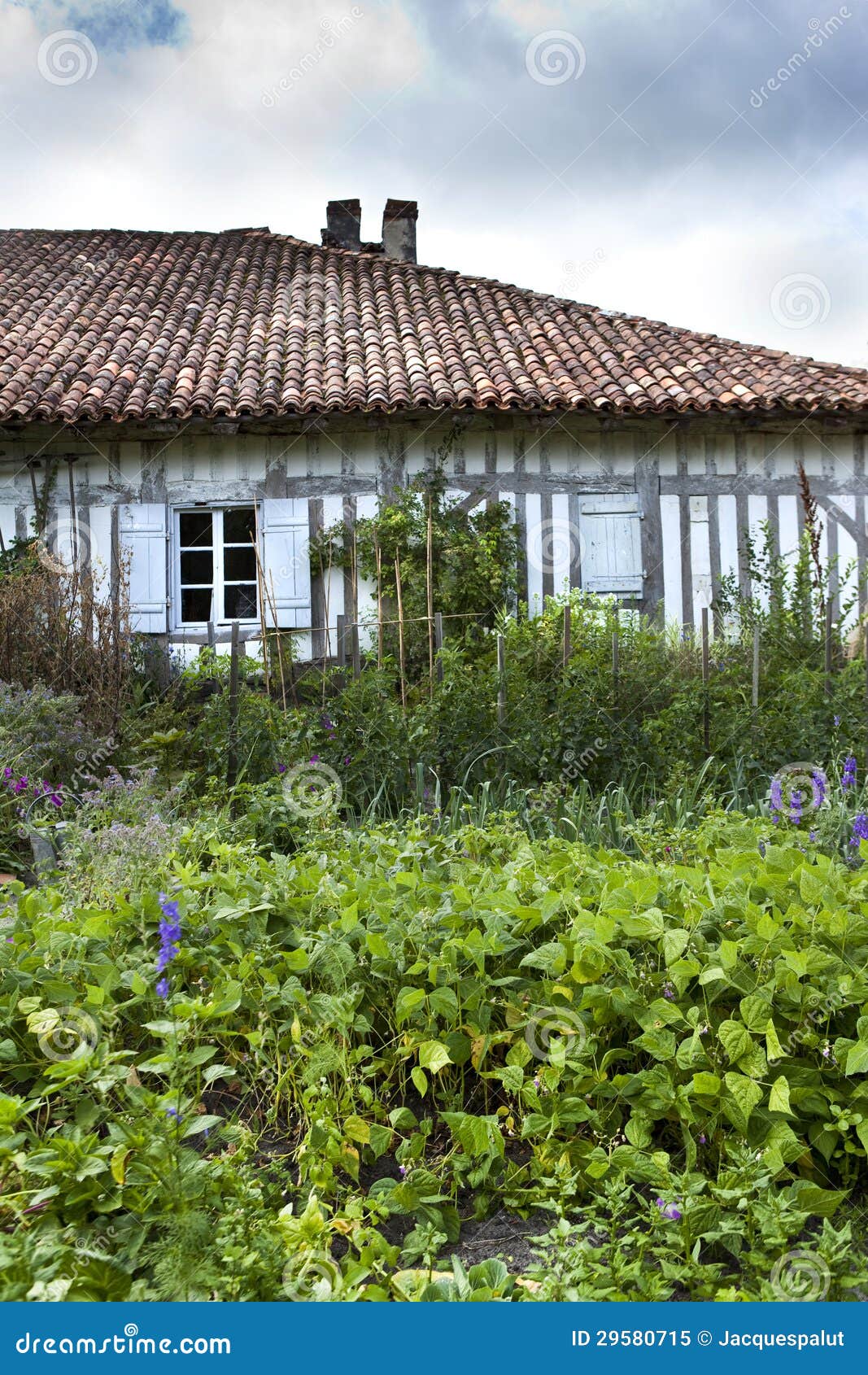 French farm stock image. Image of aquitaine, home, typical - 29580715