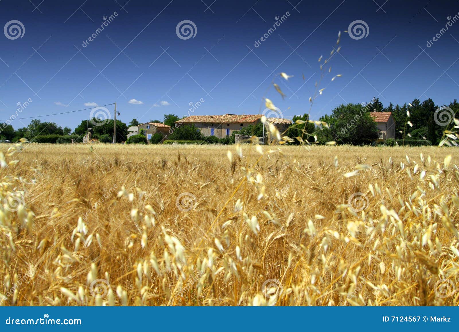 French farm house stock image. Image of wheat, field, house - 7124567