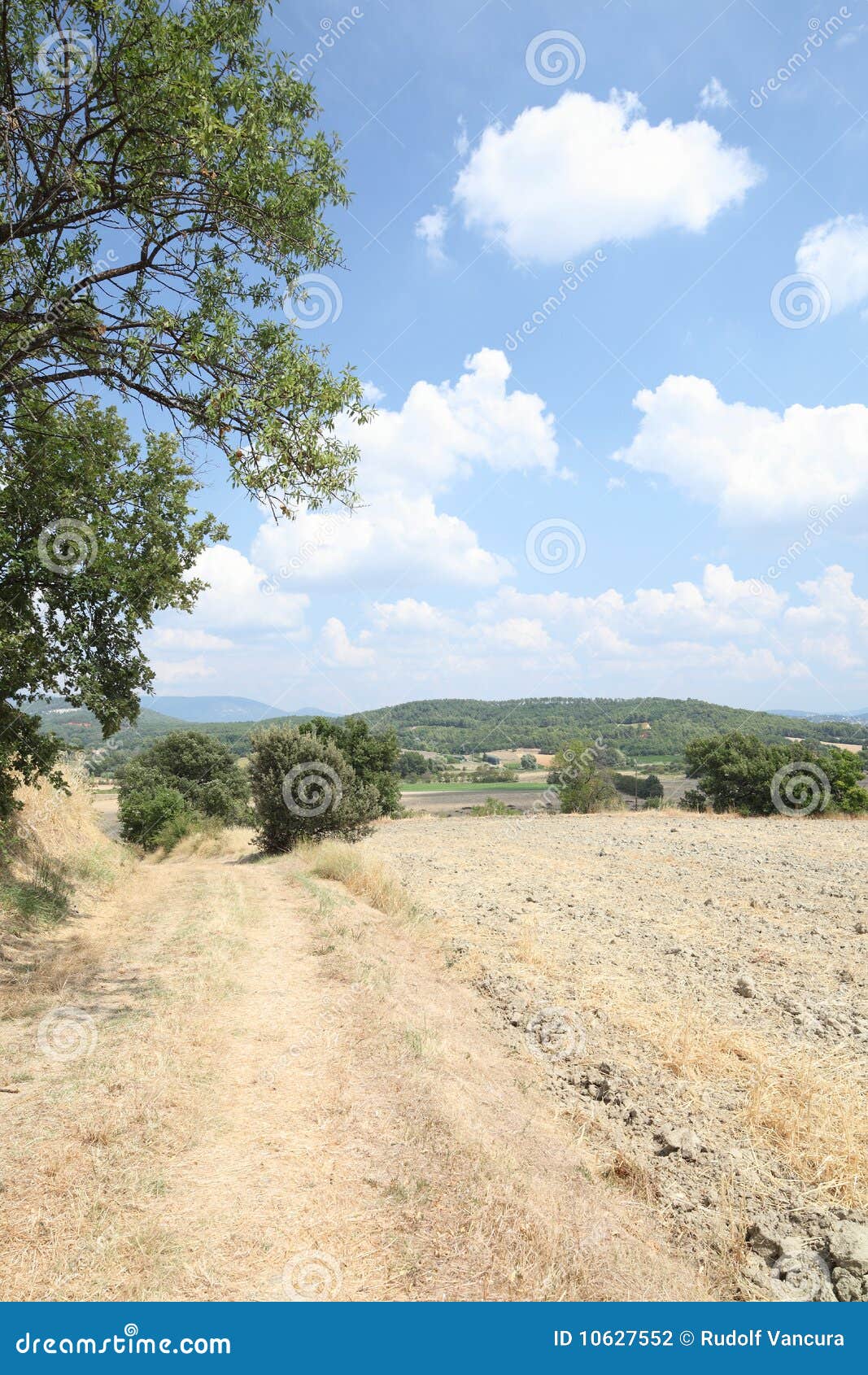 French field after harvest stock photo. Image of agricultural - 10627552