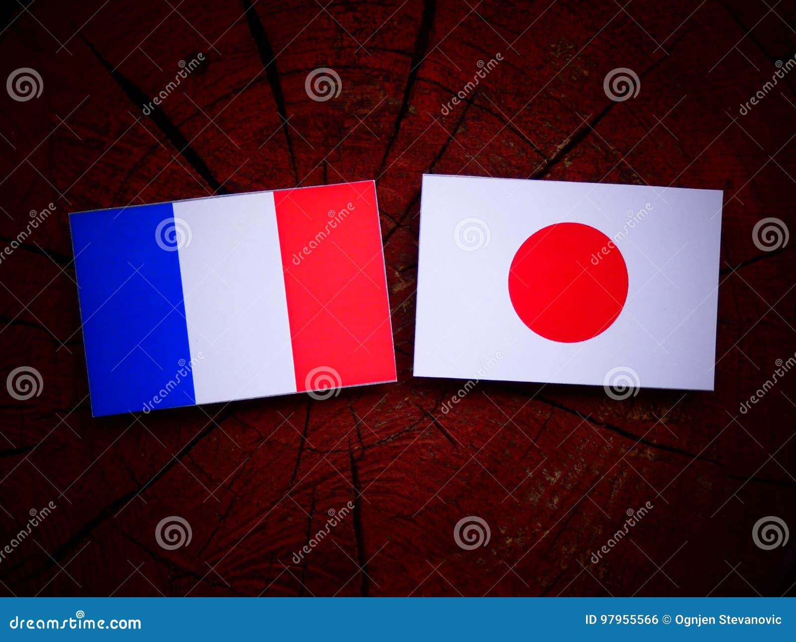 French Flag with Japanese Flag on a Tree Stump Isolated Stock Photo ...