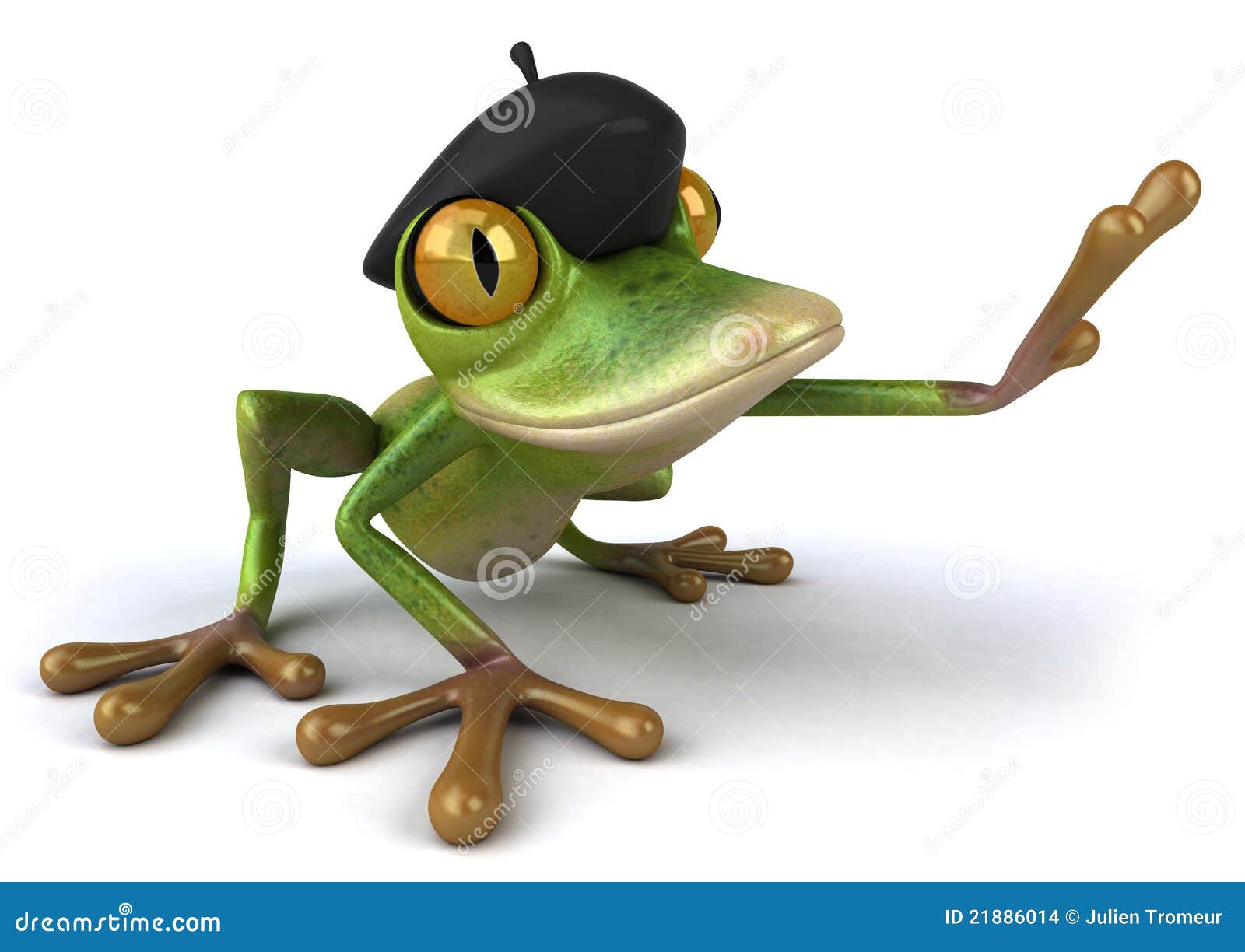 French frog stock illustration. Illustration of environment - 21886014