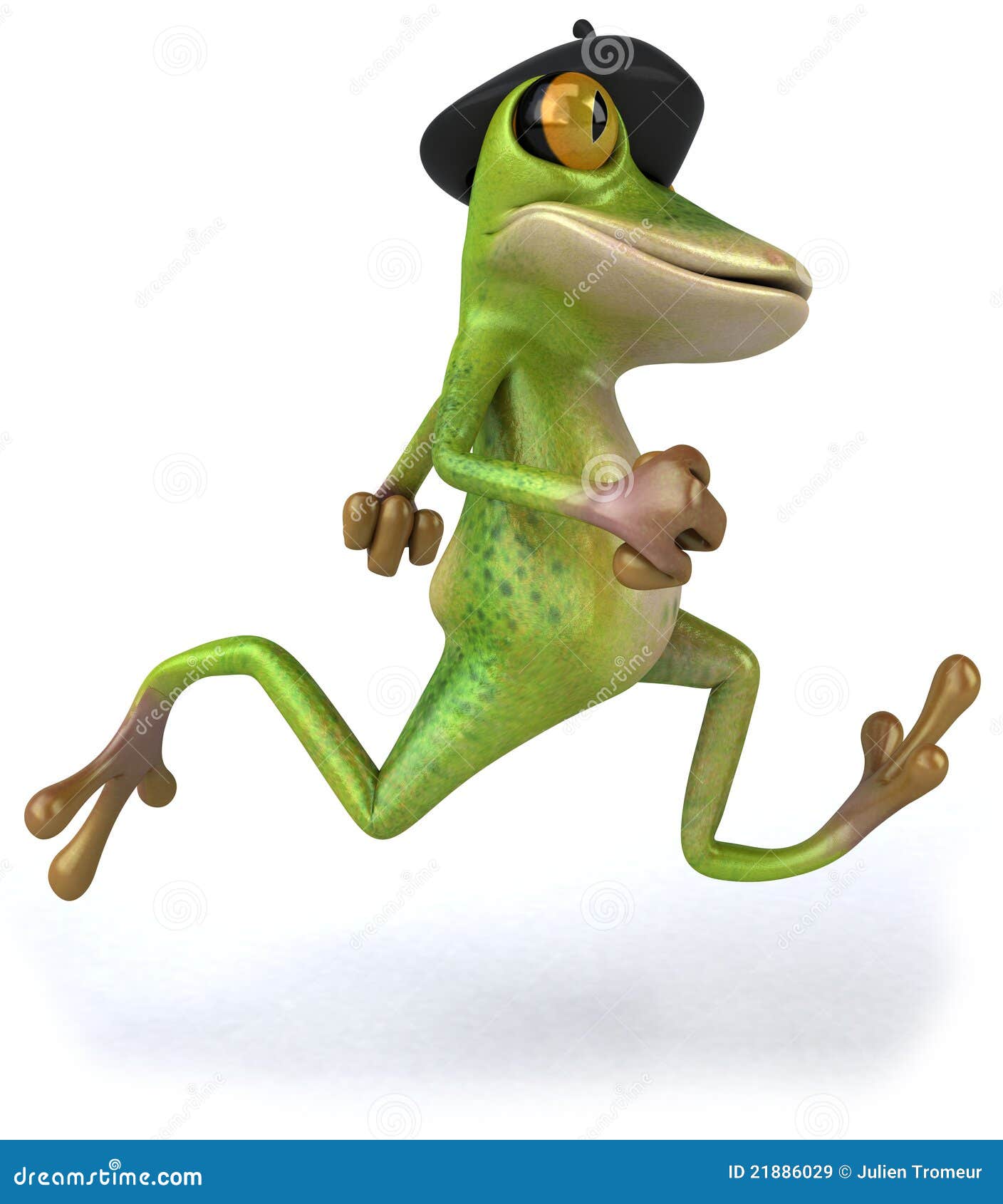 French frog stock illustration. Illustration of closeup - 21886029