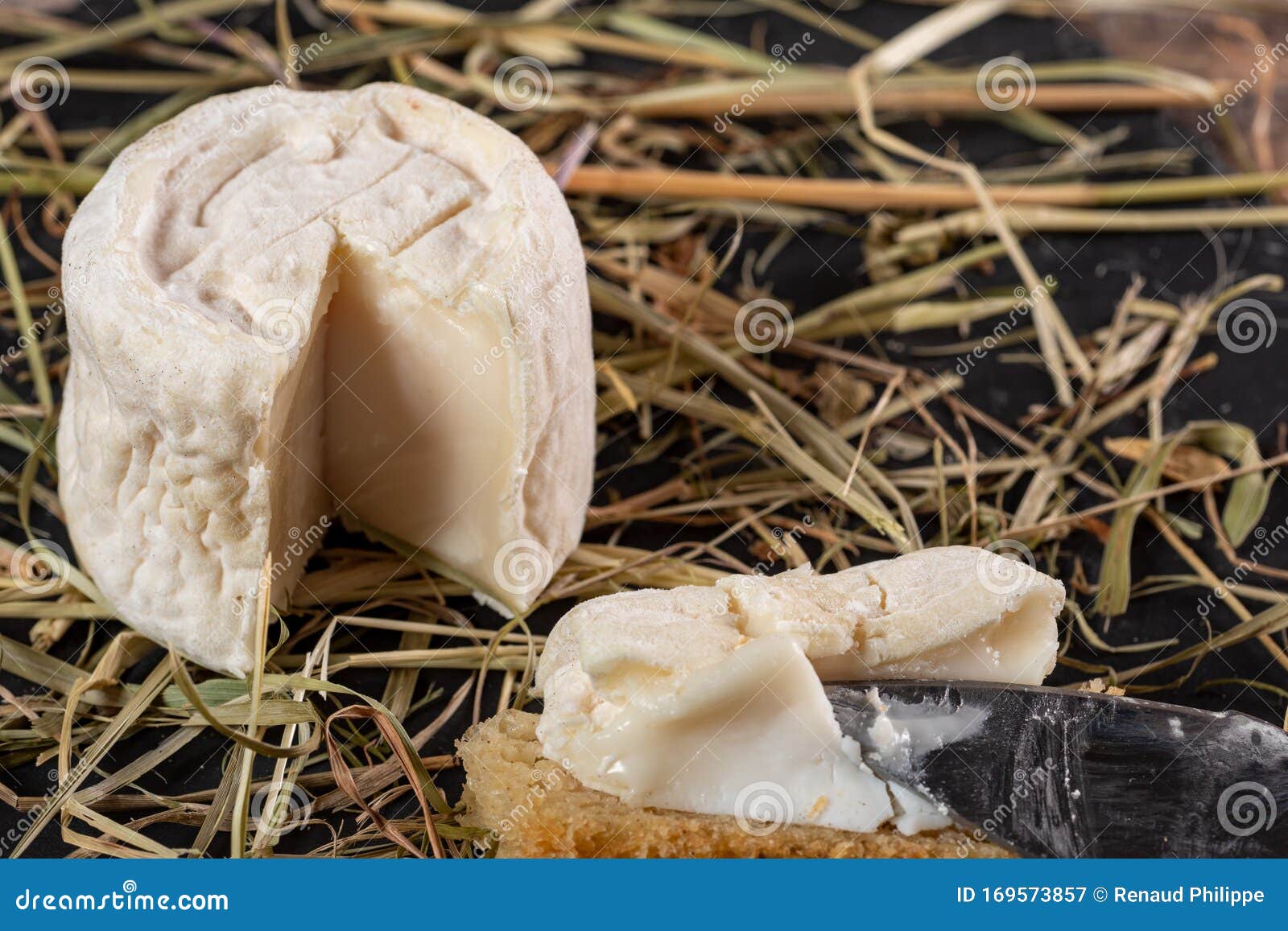 French Goat Cheese, Product in the Pyrenees Mountains Stock Image ...