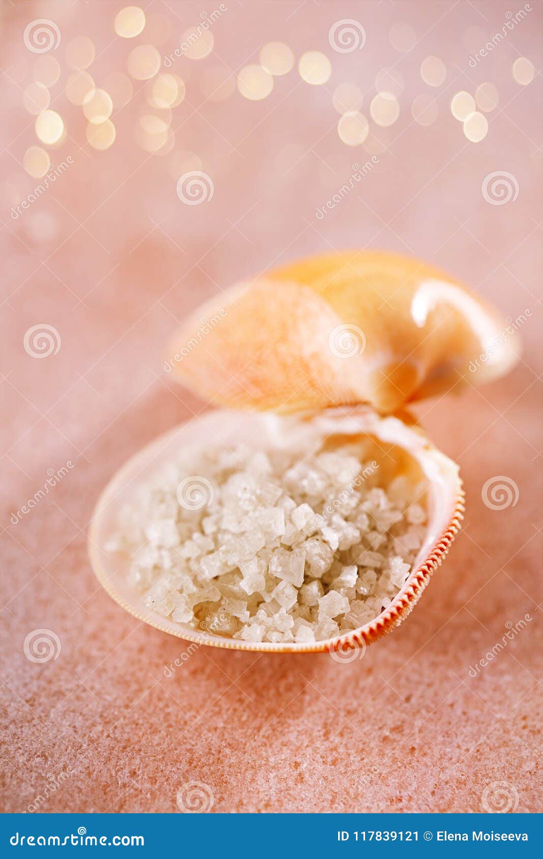 French Grey Sea Salt with Sea Shell Stock Image - Image of cuisine ...